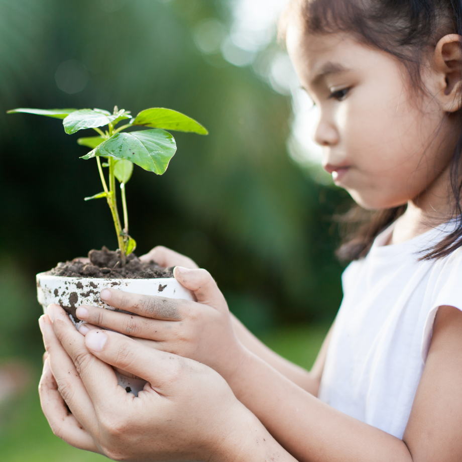 About us | Independent Reserve