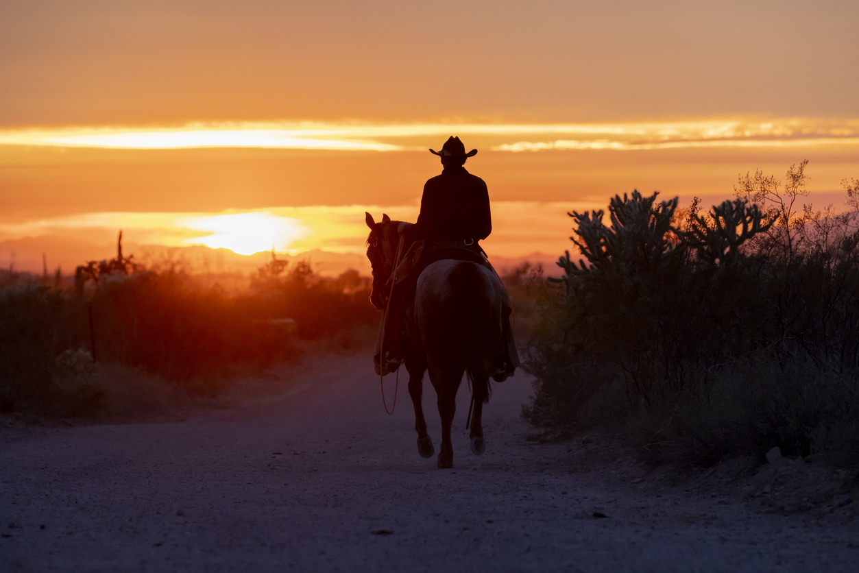 BTC US$ 105k. Texas approves US$10M Bitcoin reserve | Independent Reserve